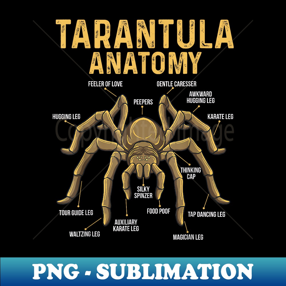 Tarantula Anatomy - Spider Arthropod Arachnid Arachnophile - | Inspire Uplift