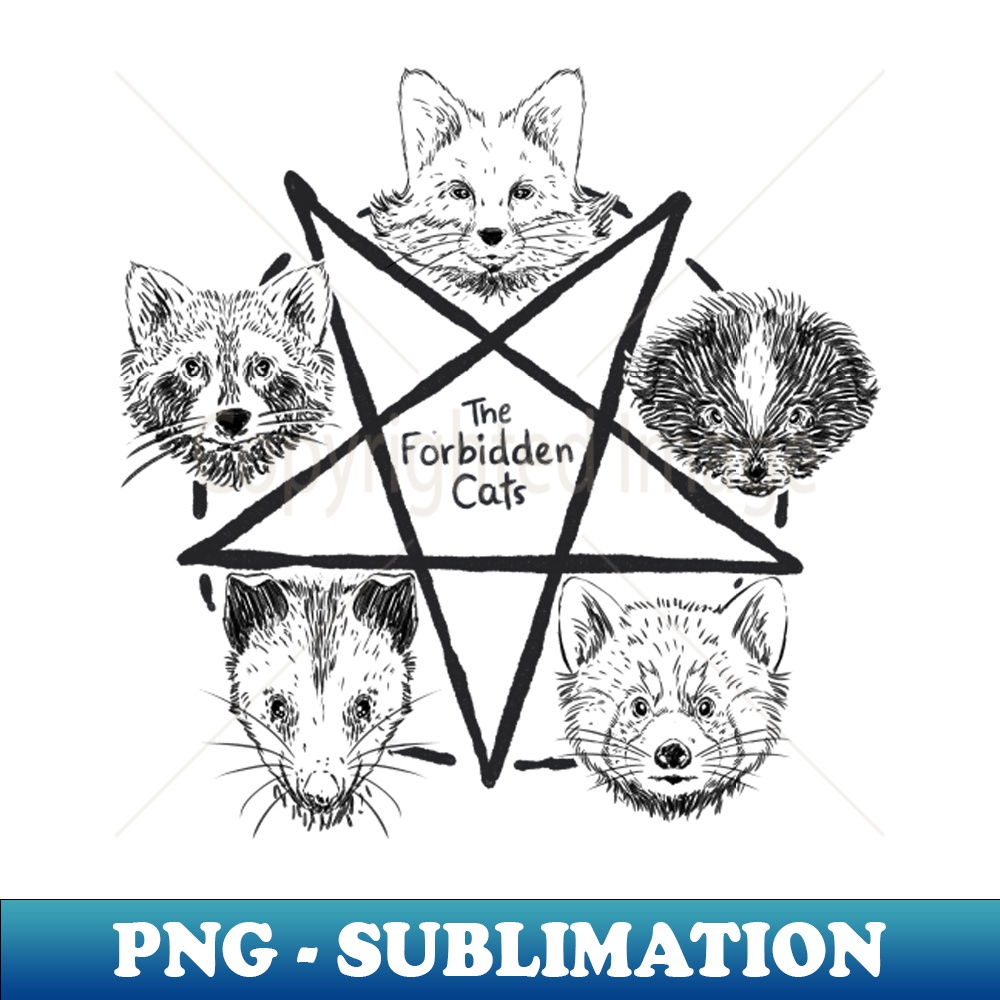 The Forbidden Cats The Forbidden Cats - Raccoon PossumOpossu | Inspire ...