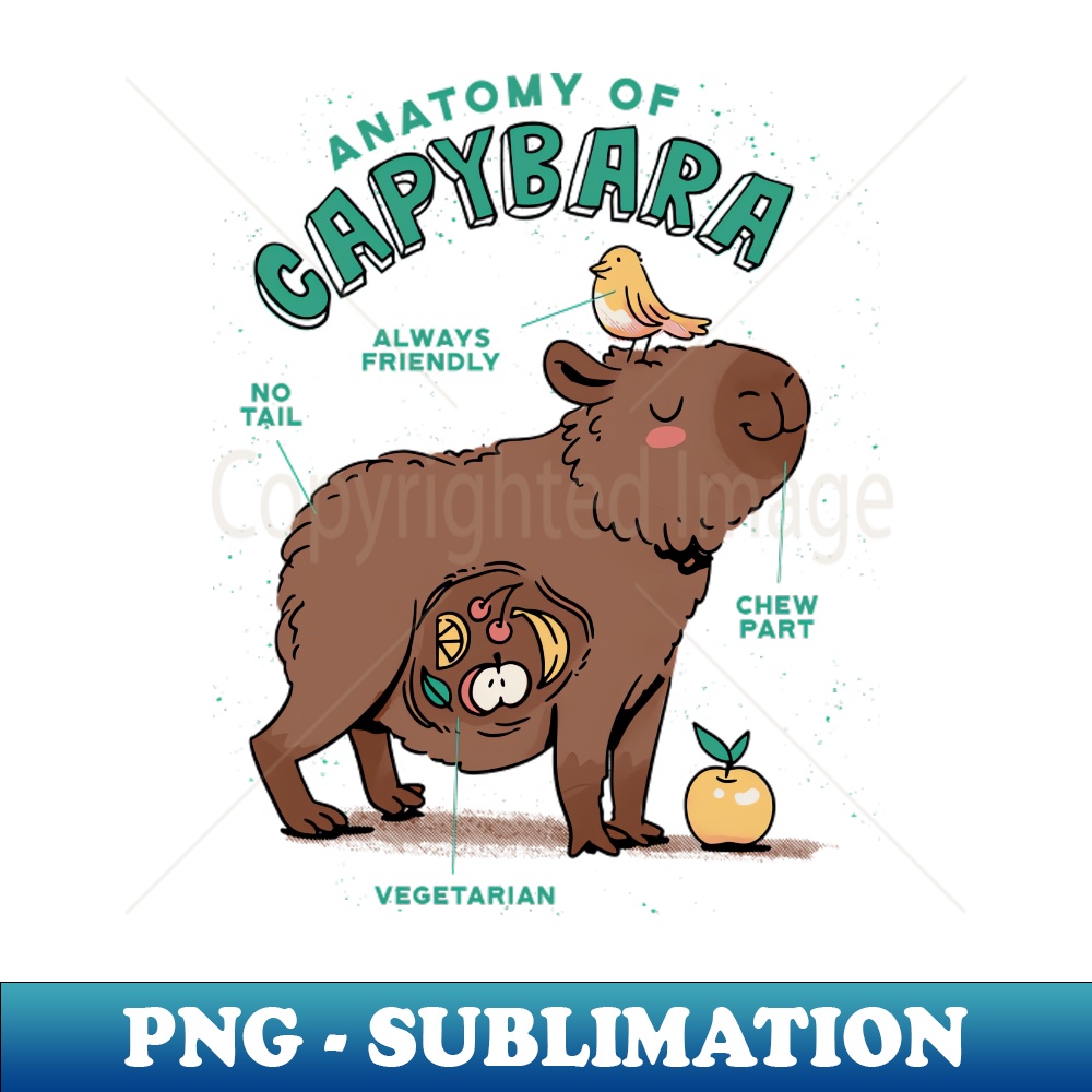 Funny Capybara Anatomy - Elegant Sublimation PNG Download - - Inspire ...