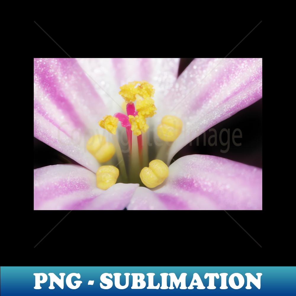 2mm - Digital Sublimation Download File - Stunning Sublimati - Inspire ...