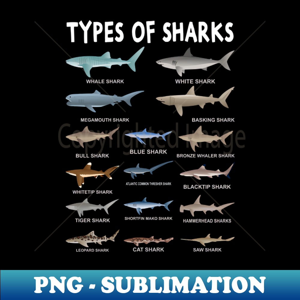 Types Of Sharks Ocean Sharks Lovers Fans - Digital Sublimati | Inspire ...