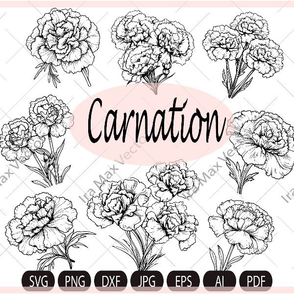 black carnation svg - Inspire Uplift