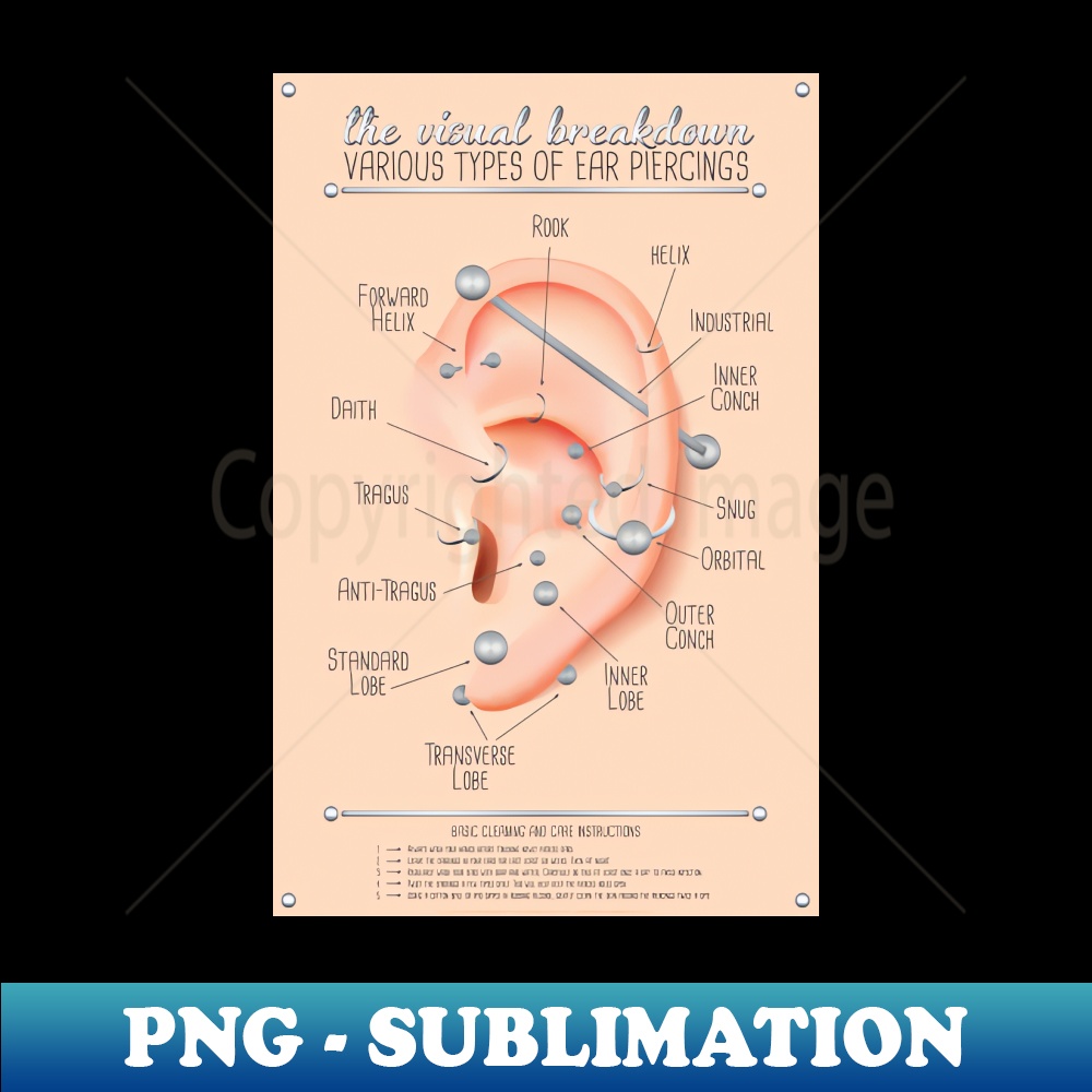 Ear Piercing Infographic Chart - Artistic Sublimation Digita - Inspire ...
