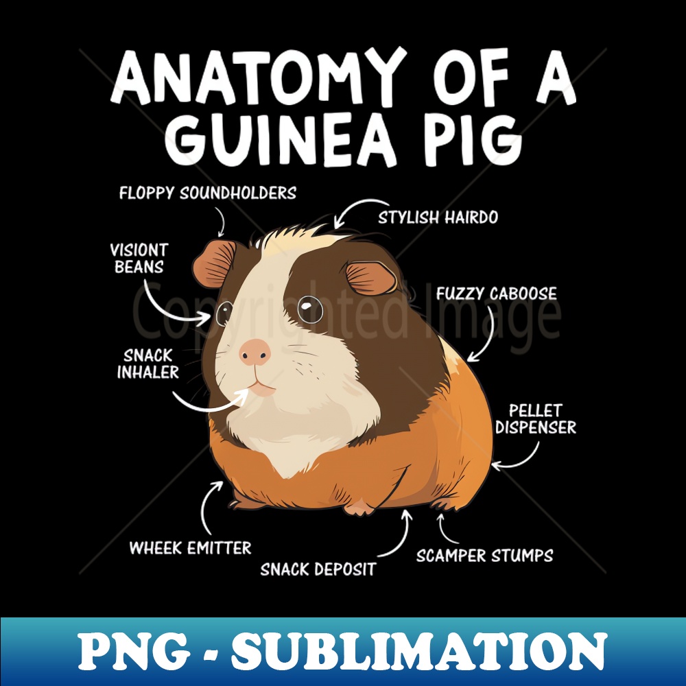 Anatomy Of A Furry Potato Guinea Pig Lover - Elegant Sublima | Inspire ...