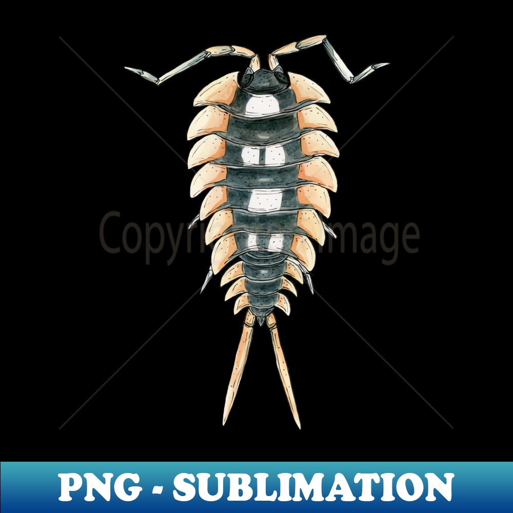 Porcellio expansus orange Isopod - Professional Sublimation - Inspire ...