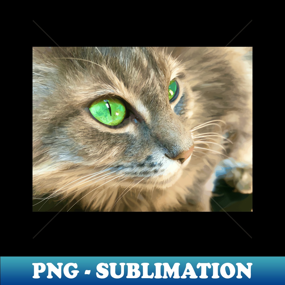 Bella Cat with Green Eyes Who Is Beloved - Stylish Sublimati | Inspire ...
