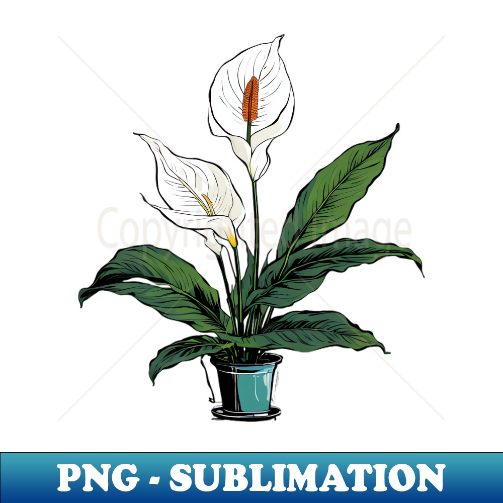 peace lily sympathy - Elegant Sublimation PNG Download - Bri | Inspire ...