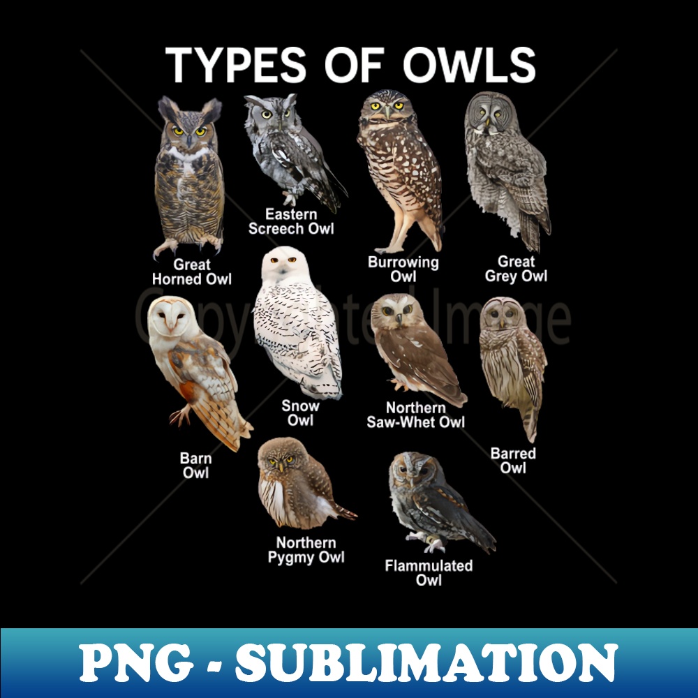 Owl Types Of Owls - Decorative Sublimation PNG File - Revolu | Inspire ...