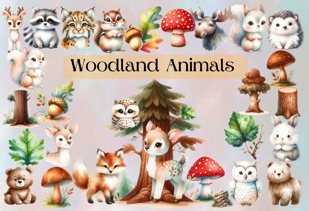 Woodland Friends Digital Clip Art Safari Jungle Frames Clipart, Forest
