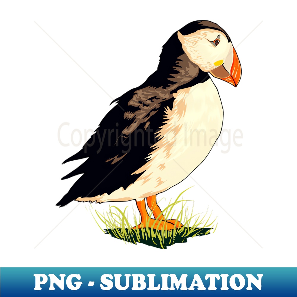 Drawing of the puffin - Stylish Sublimation Digital Download | Inspire ...