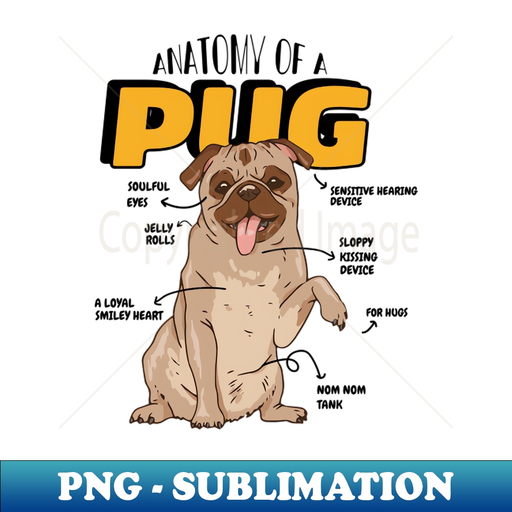 Anatomy Of A Pug - PNG Transparent Digital Download File for - Inspire ...