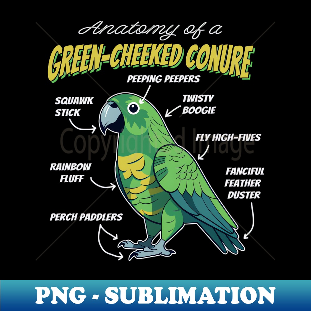 Funny Anatomy of a Green Cheek Conure Pet Bird Lover - Aesth | Inspire ...