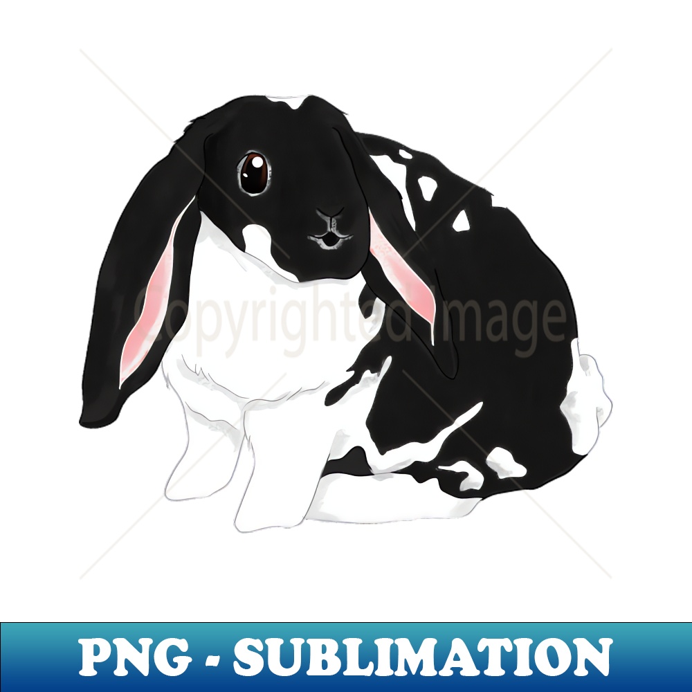 Bunji Lop Broken Black Rabbit - Vintage Sublimation PNG Down | Inspire ...