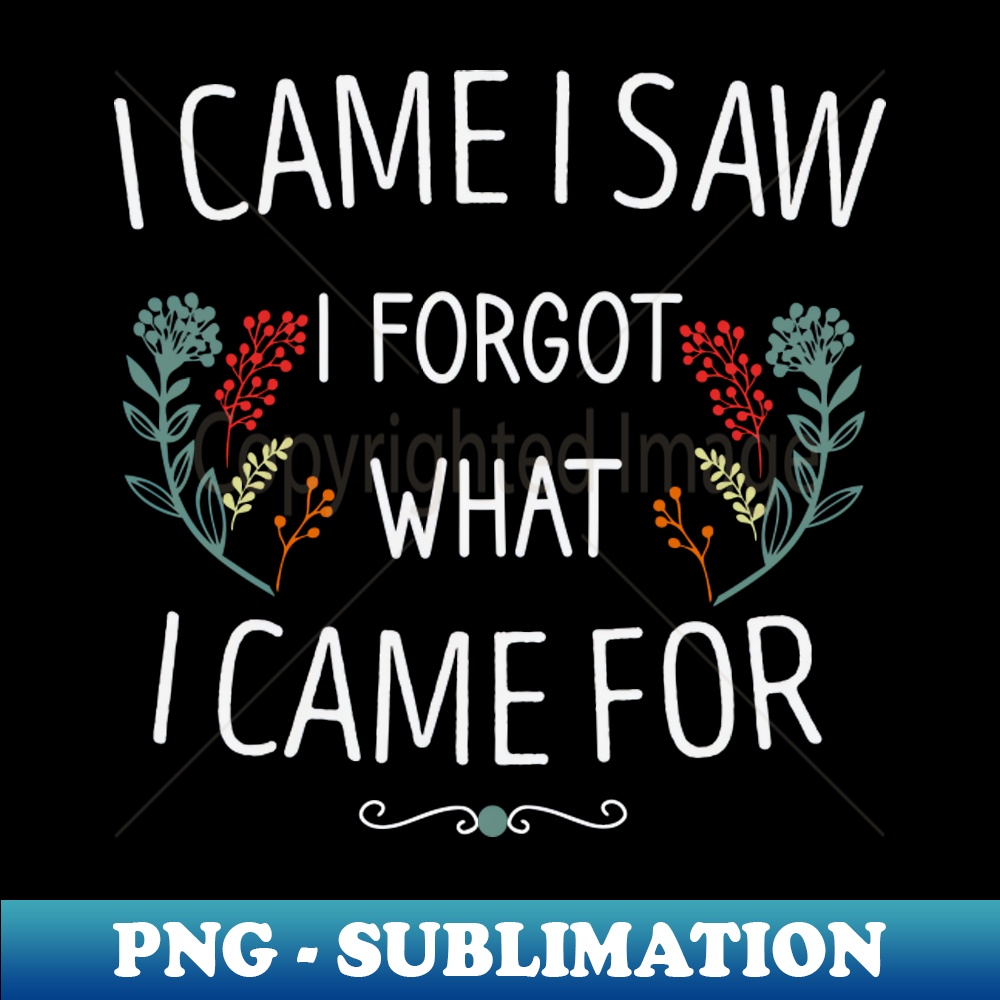 I Came I Saw I Forgot What I Came For Funny Saying Gift - Si | Inspire ...