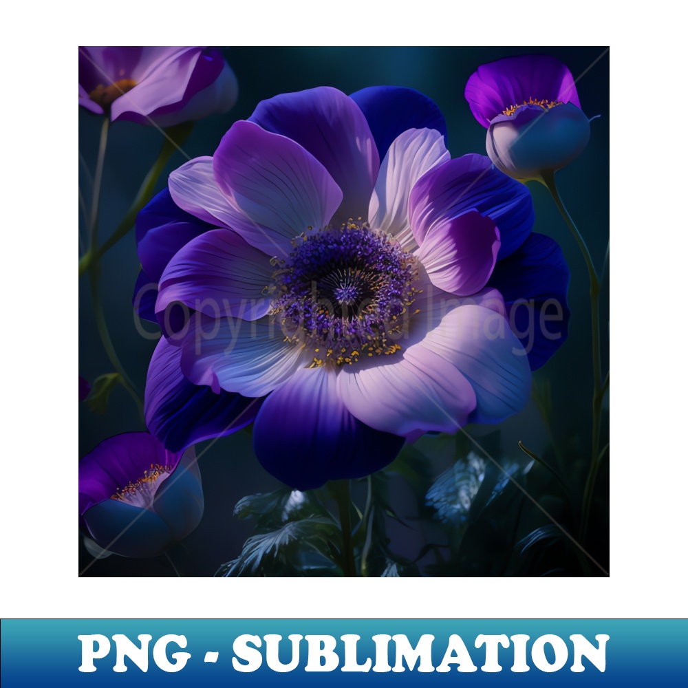 Anemones With Their Captivating Appearance And Silky Petals | Inspire ...
