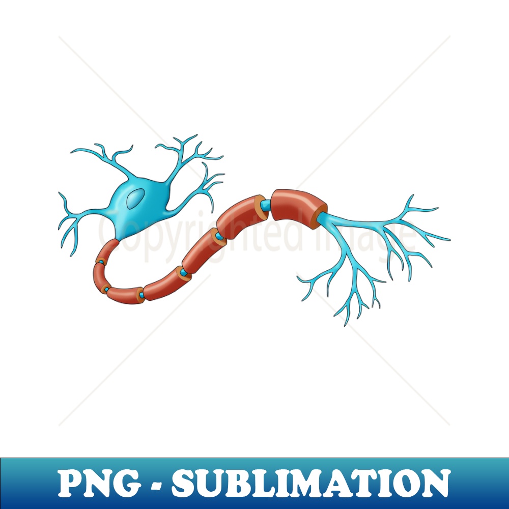 Teal Blue and Orange Neuron Nerve Cell with Myelin Sheath - | Inspire ...