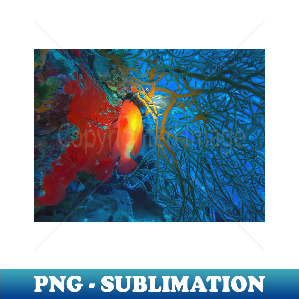 Red Snapper in Red Coral - Sublimation-Ready PNG File - Crea | Inspire ...