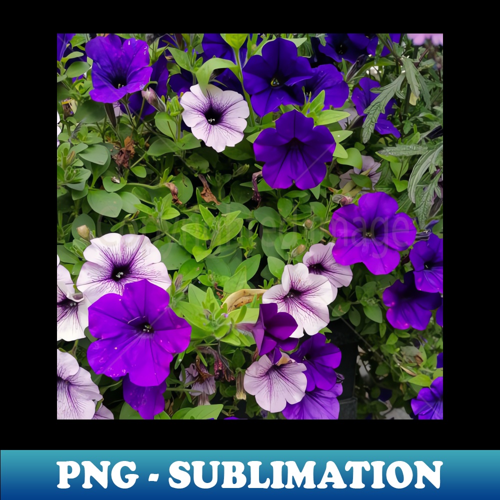 White And Blue Violets Field - Exclusive Sublimation Digital | Inspire ...