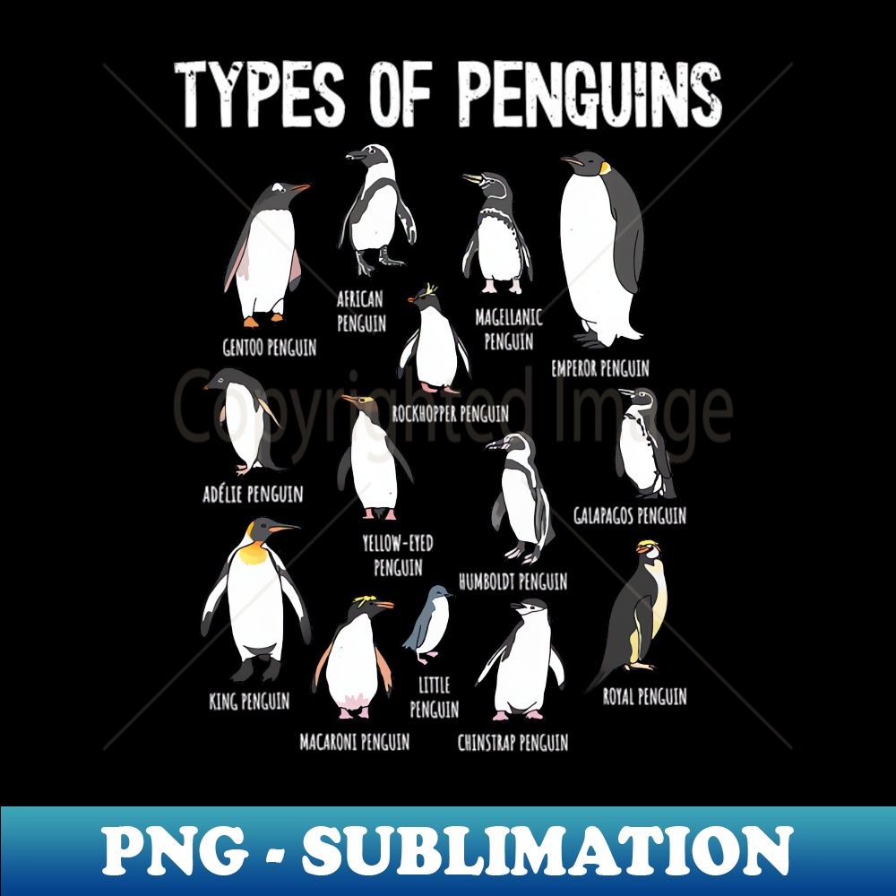 Penguin Lover Penguins Of The World Types Of Penguins - High | Inspire ...