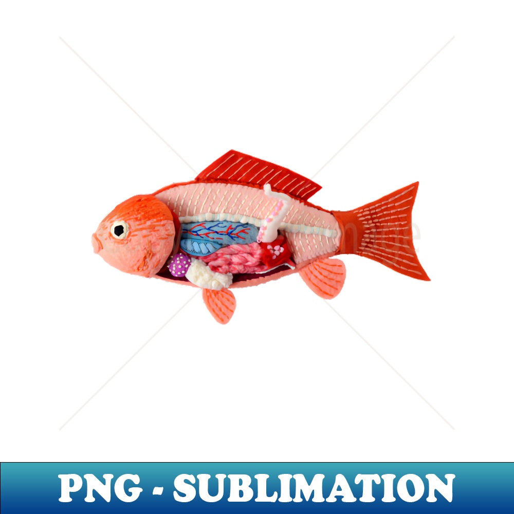 Anatomy of Nishiki-Koi Fish 1 - Sublimation-Ready PNG File - | Inspire ...