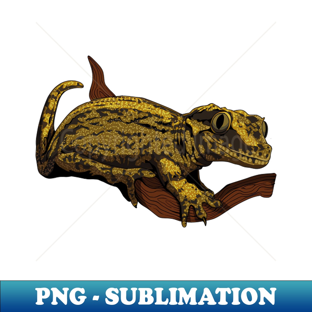 Drawing - gargoyle gecko - High-Quality PNG Sublimation Down | Inspire ...