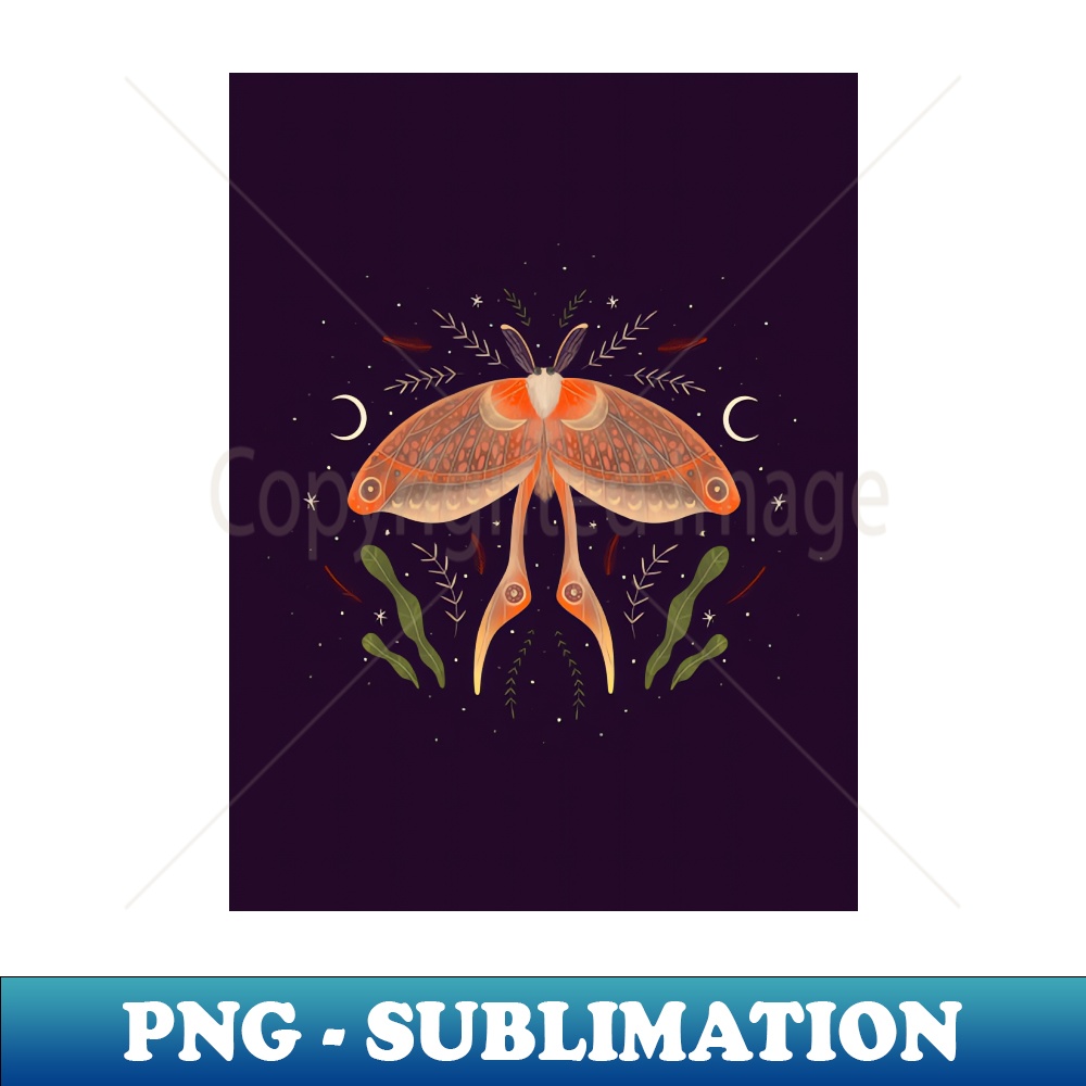 Wiccan witchcraft Moth and magic of night - PNG Transparent - Inspire ...