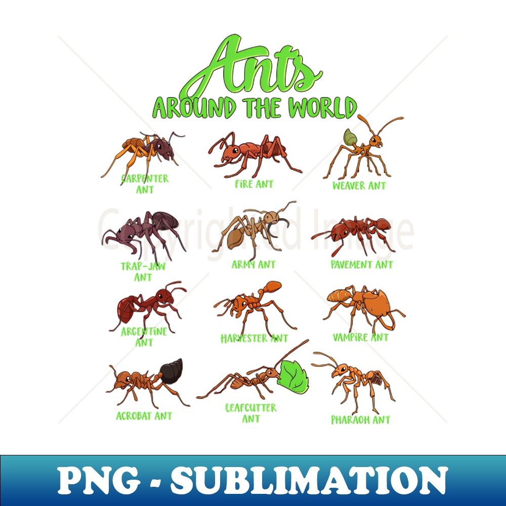 Ants around the world - ant species - Unique Sublimation PNG | Inspire ...