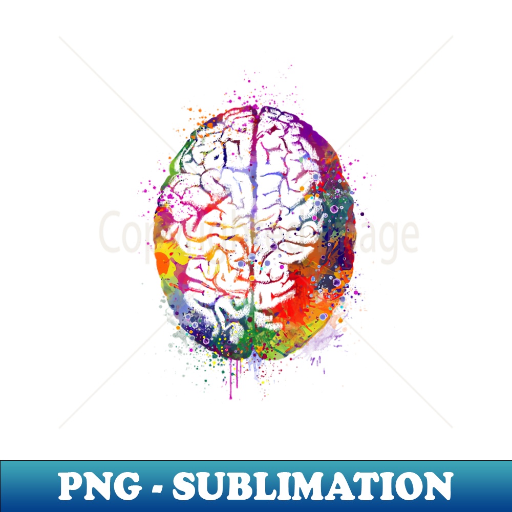 Human Brain Watercolor Anatomy - PNG Transparent Sublimation | Inspire ...