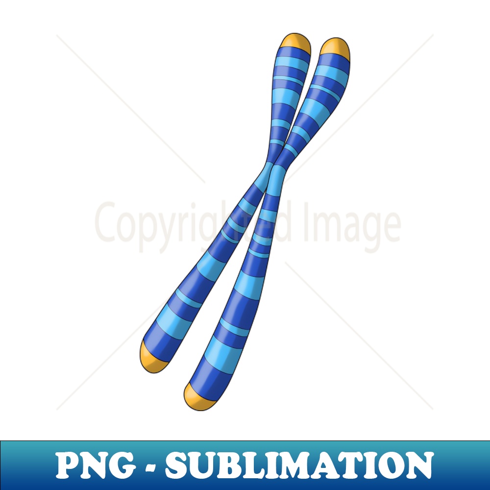 Chromosome with Telomeres at the ends - PNG Transparent Digi - Inspire ...
