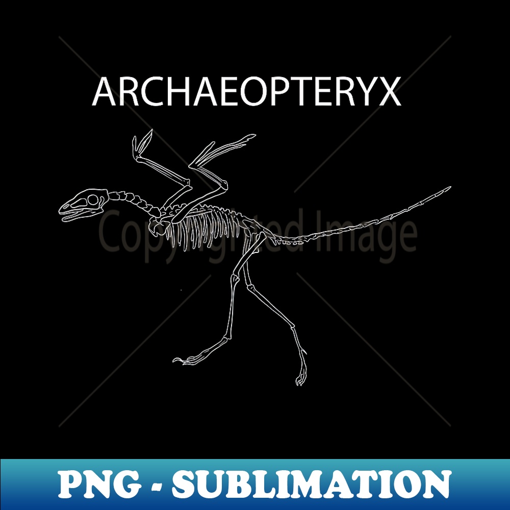 Dinosaur Fossil Skeleton Archaeopteryx - High-Resolution PNG | Inspire ...