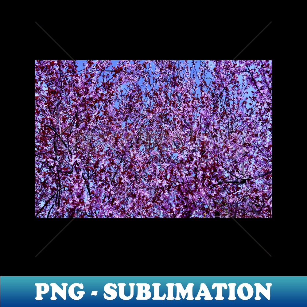 Spring Violet Swiss Artwork Photography - PNG Transparent S - Inspire ...