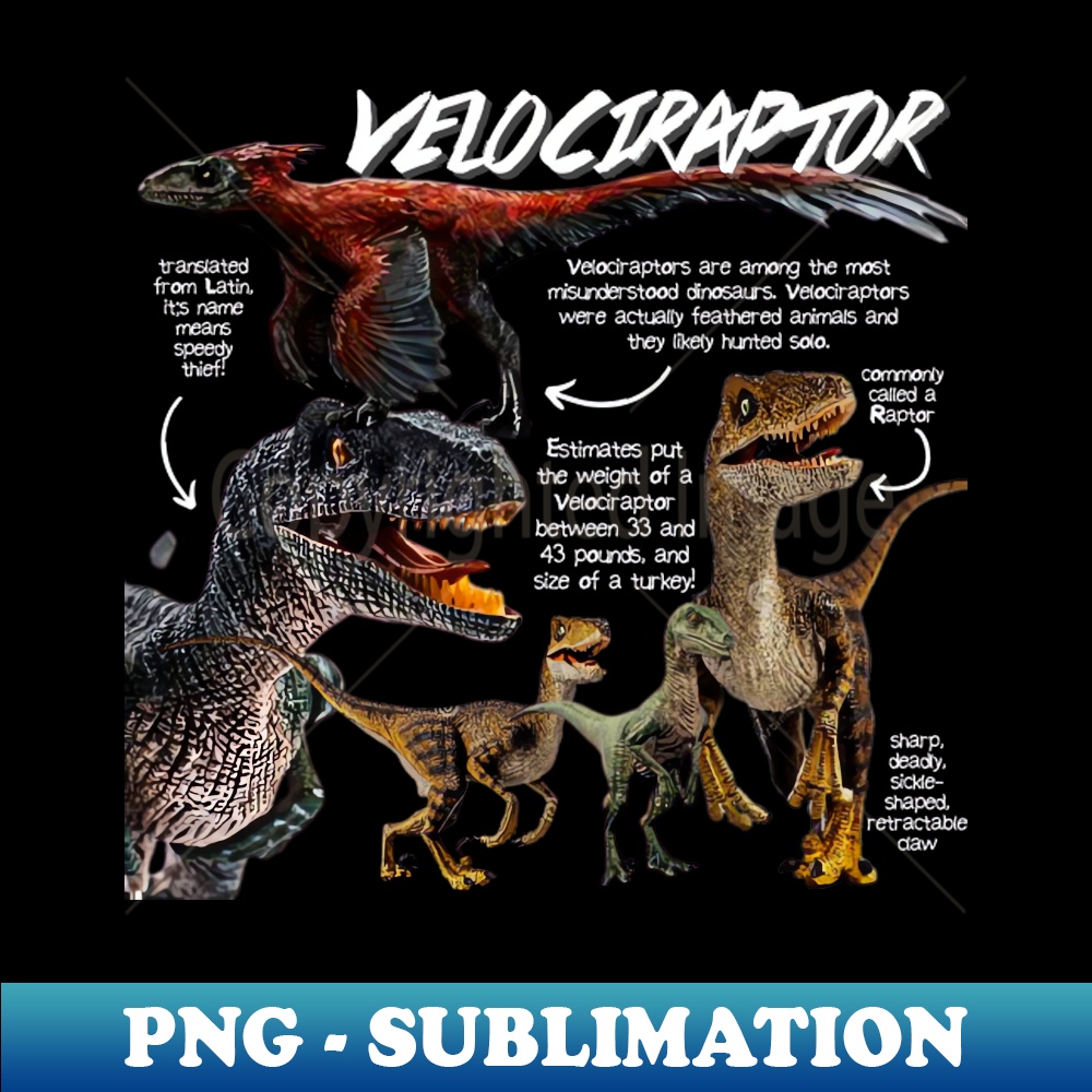 Velociraptor Fun Facts - Artistic Sublimation Digital File - - Inspire ...