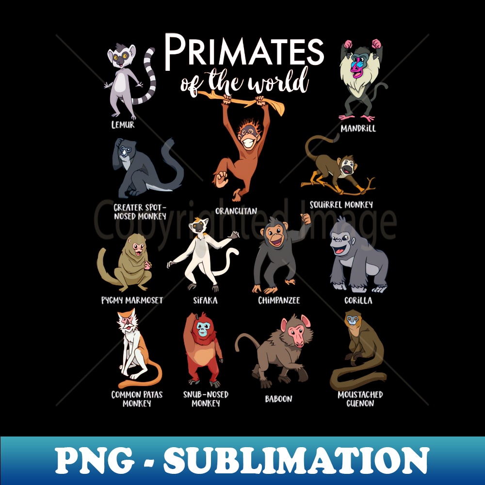 Many species of monkeys - types of primates - PNG Transparen | Inspire ...