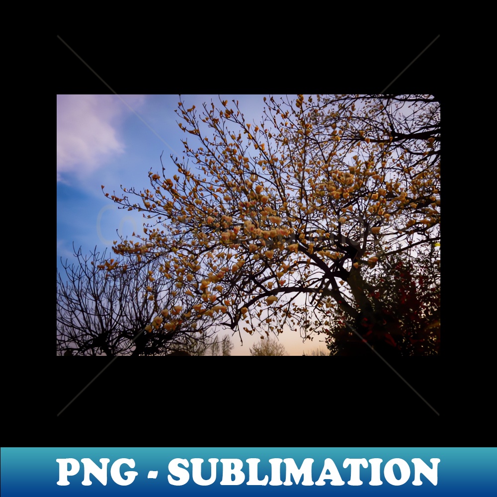 Spring flowers pictures peach colors - Trendy Sublimation Di | Inspire ...