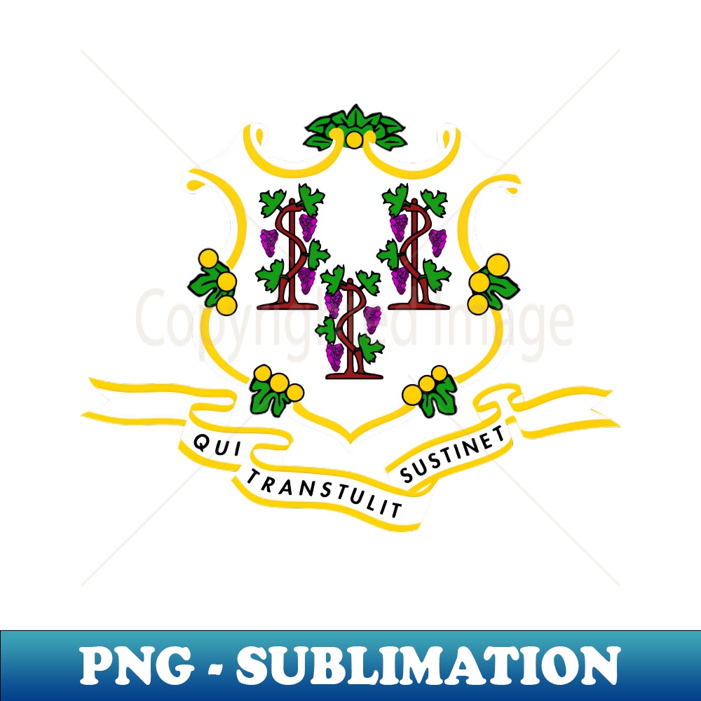Flag of Connecticut State of the USA - Digital Sublimation D | Inspire ...