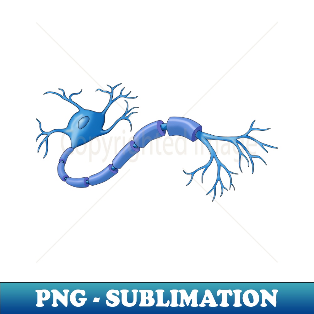 Blue Neuron Nerve Cell with Myelin Sheath - Special Edition | Inspire ...