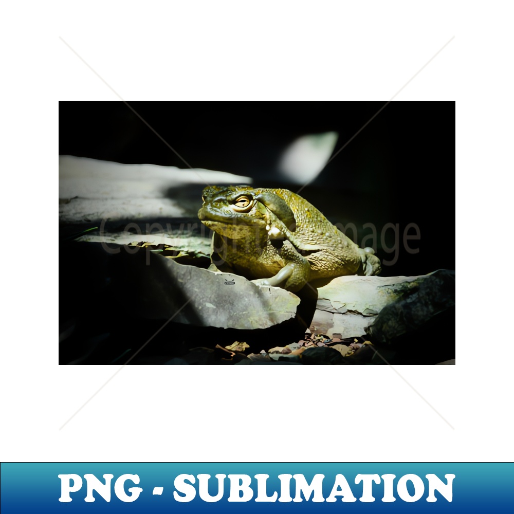 Toad Swiss Artwork Photography - High-Resolution PNG Sublim | Inspire ...