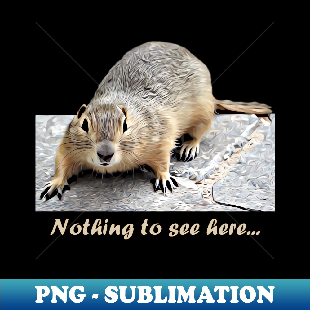 Nothing to see here - Retro PNG Sublimation Digital Download | Inspire ...
