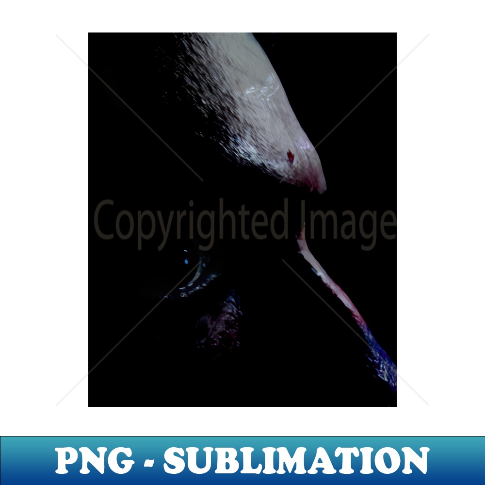 Portrait digital collage and special processing Man Side of | Inspire ...
