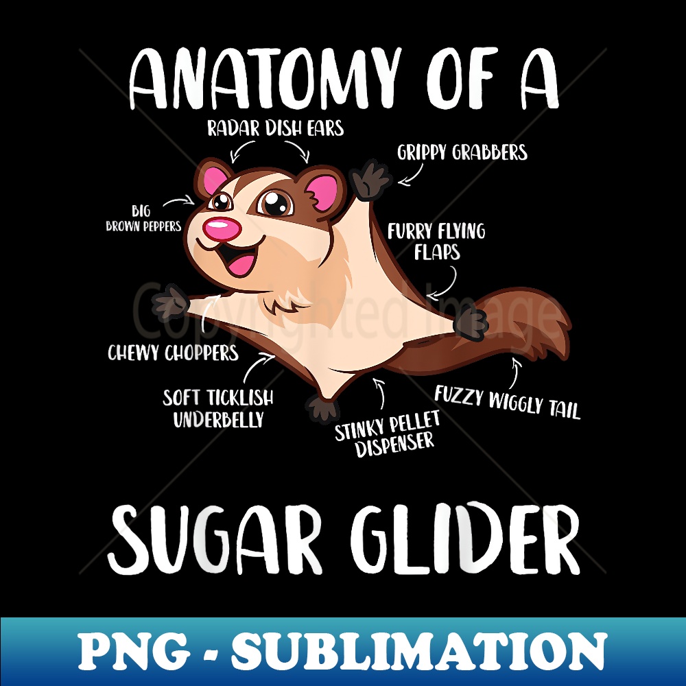 Anatomy Of A Sugar Glider Funny Cute Sugar Glider - Special | Inspire ...