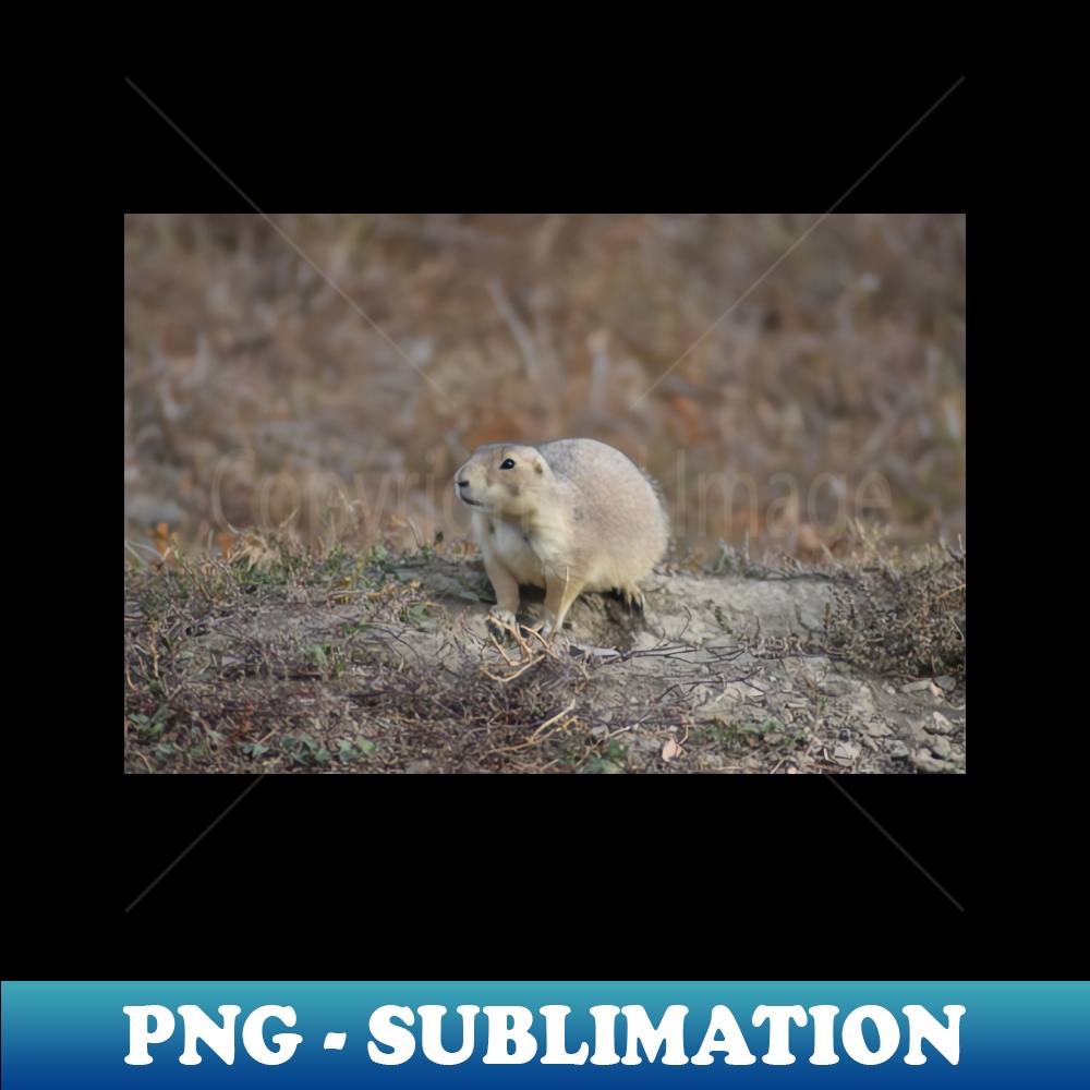 Wild Prairie Dog - PNG Transparent Sublimation File - Perfec | Inspire ...