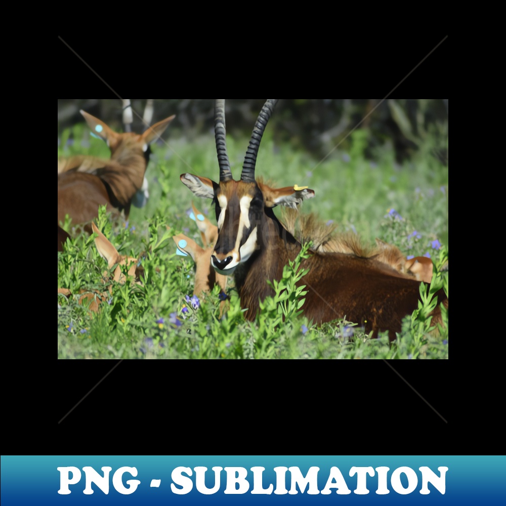 Sable Antelope - Instant PNG Sublimation Download - Instantl | Inspire ...