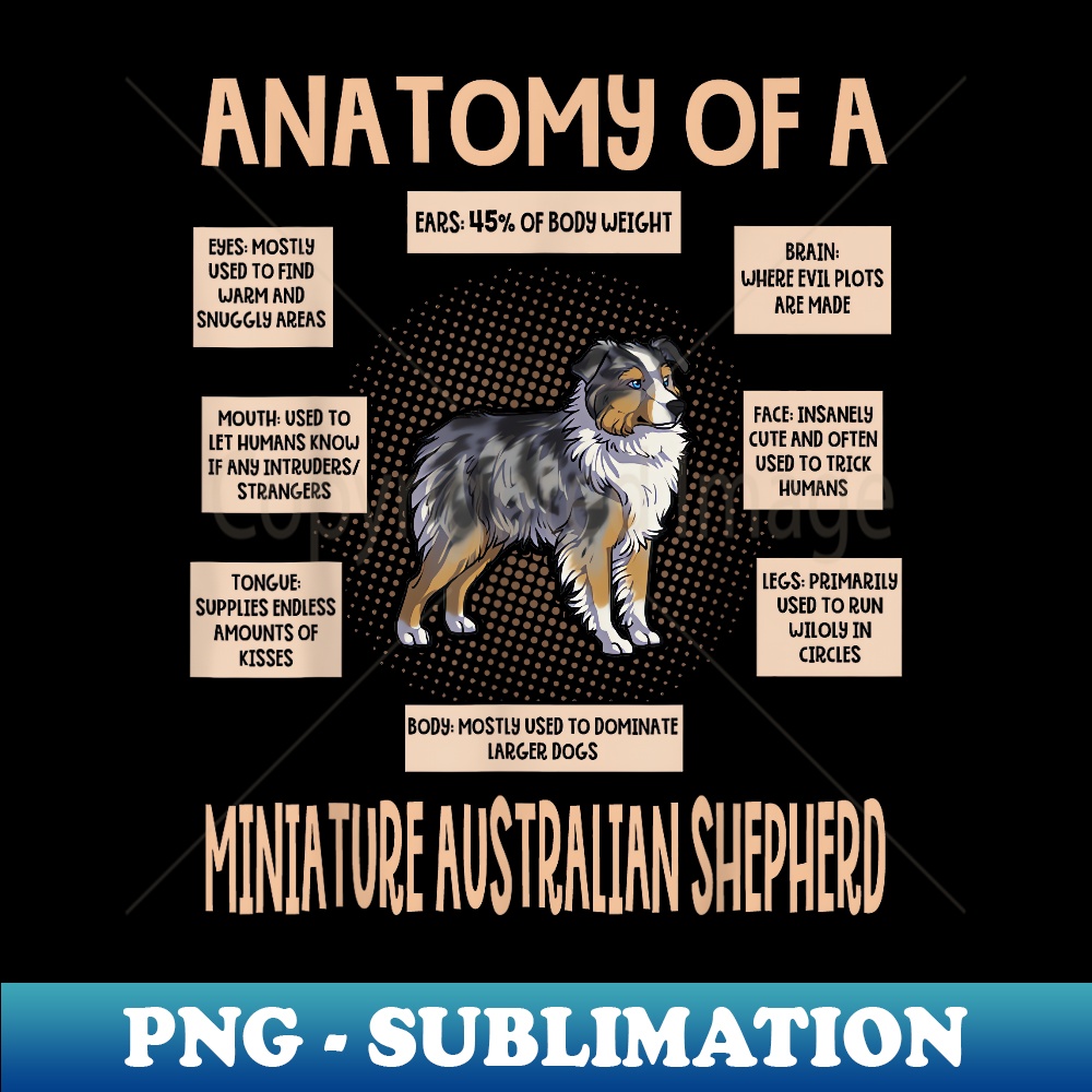 Anatomy Of A Miniature Australian Shepherd Funny - PNG Subli - Inspire ...