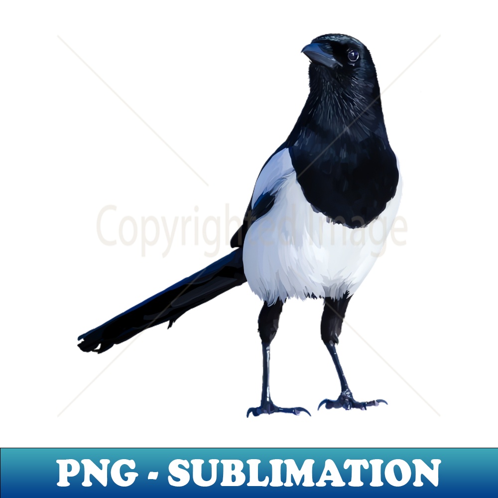 magpie - PNG Transparent Sublimation File - Capture Imaginat | Inspire ...