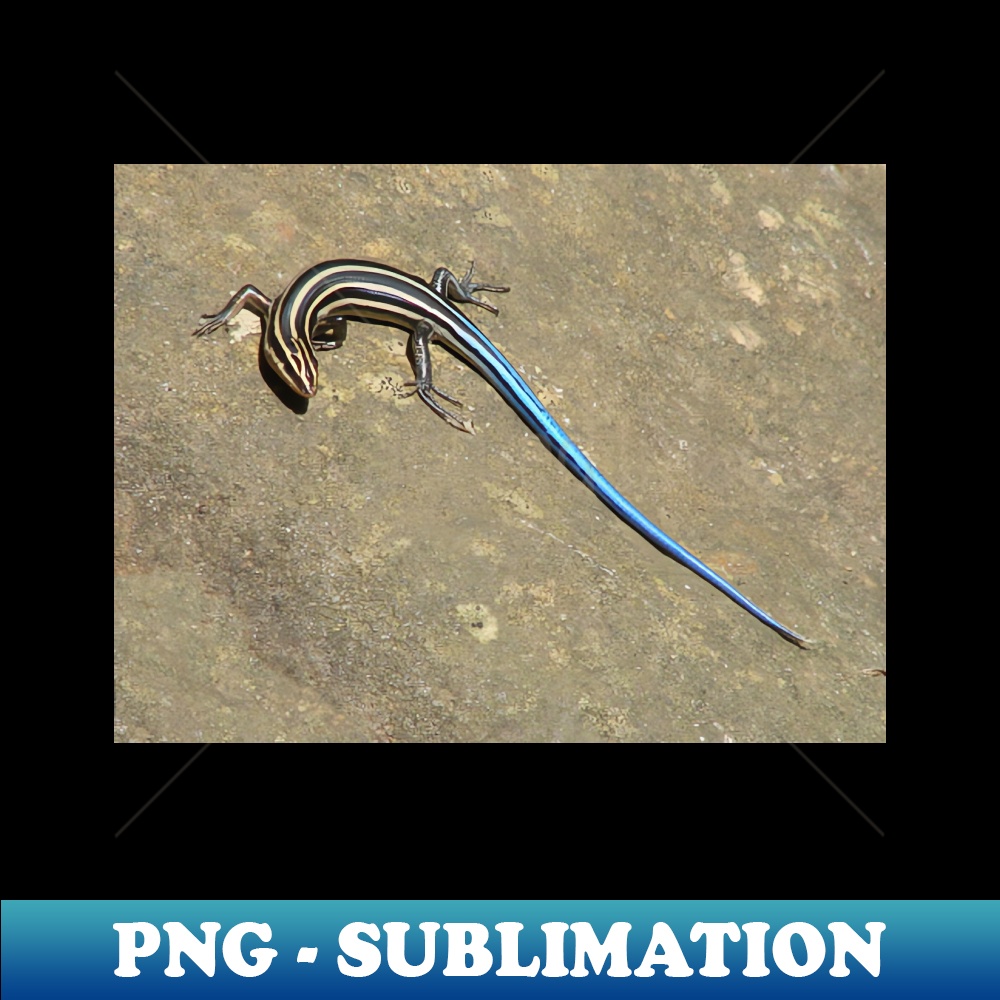 Blue Tailed Lizard 2 - Modern Sublimation PNG File - Transfo | Inspire ...