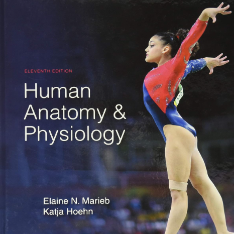 Human Anatomy & Physiology 11th Edition by Elaine Marieb (Au - Inspire ...