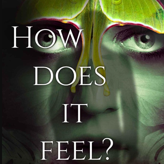 How Does It Feel . Infatuated Fae Book 1 - Inspire Uplift