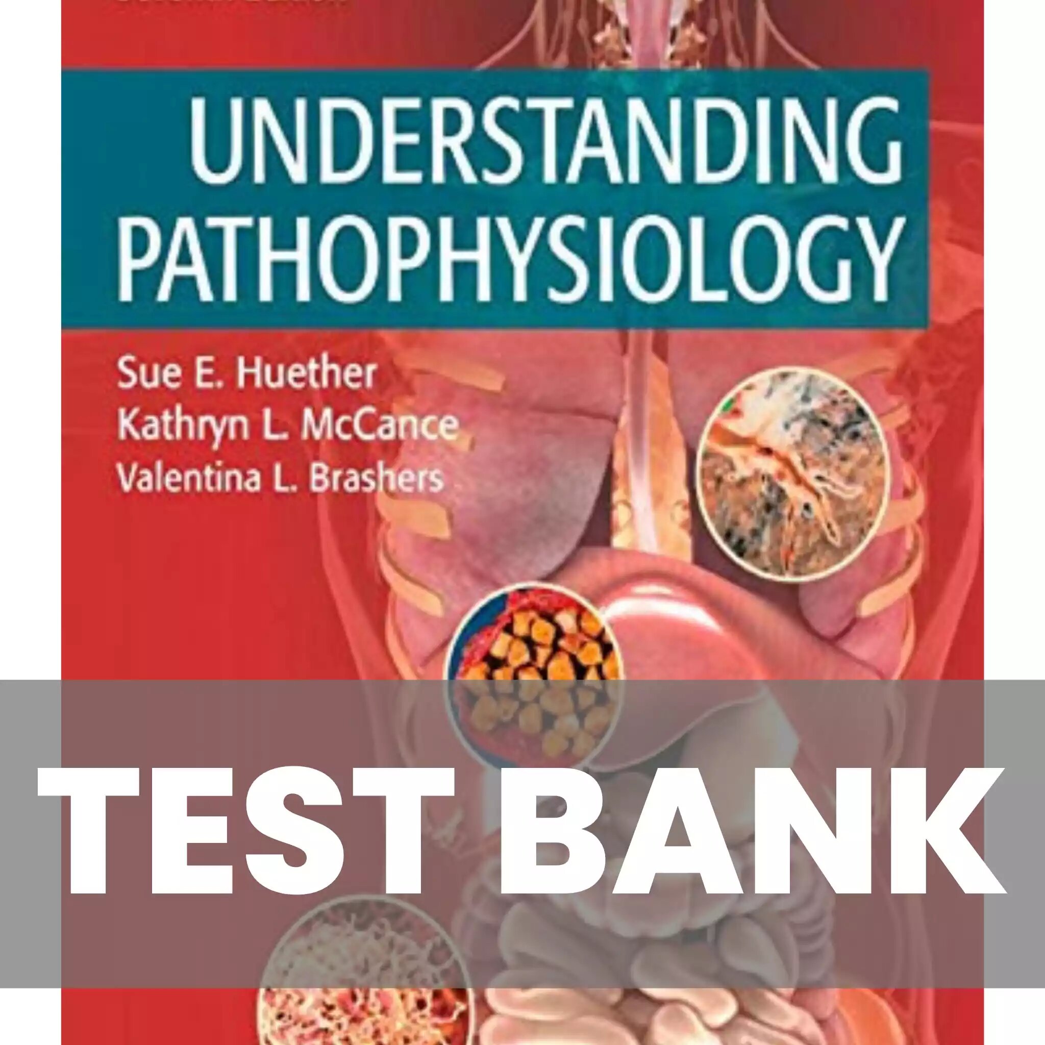 Understanding Pathophysiology 7th Edition Huether Test Bank | Inspire ...