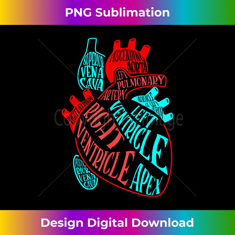 Anatomy Heart Aorta Doctor Nurse Cardiologist Cardiology - A - Inspire ...