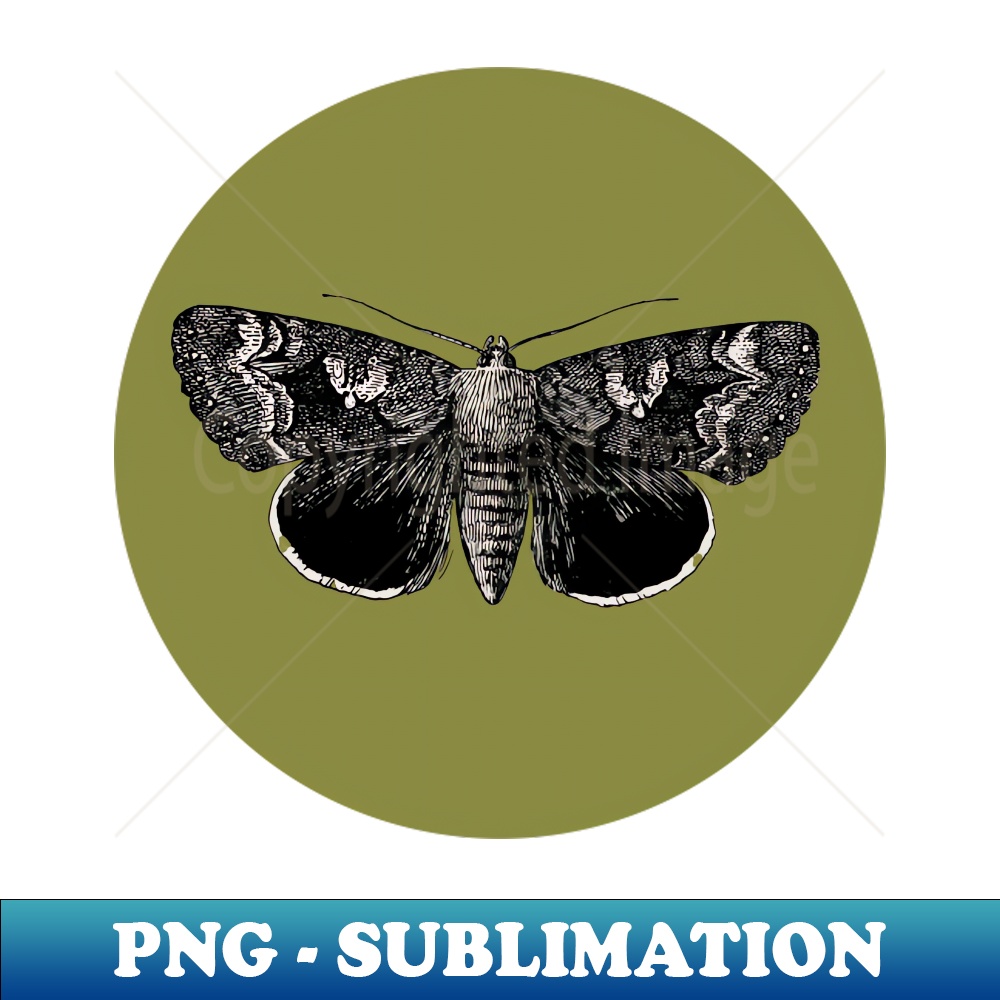 Halloween Moth Omens Portents Signs and Fortunes - Moss Gree | Inspire ...